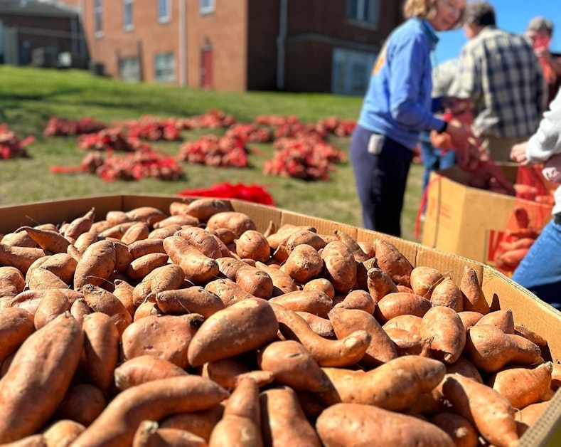 Potato Gleaning (Taft, TN) · Society of St. Andrew