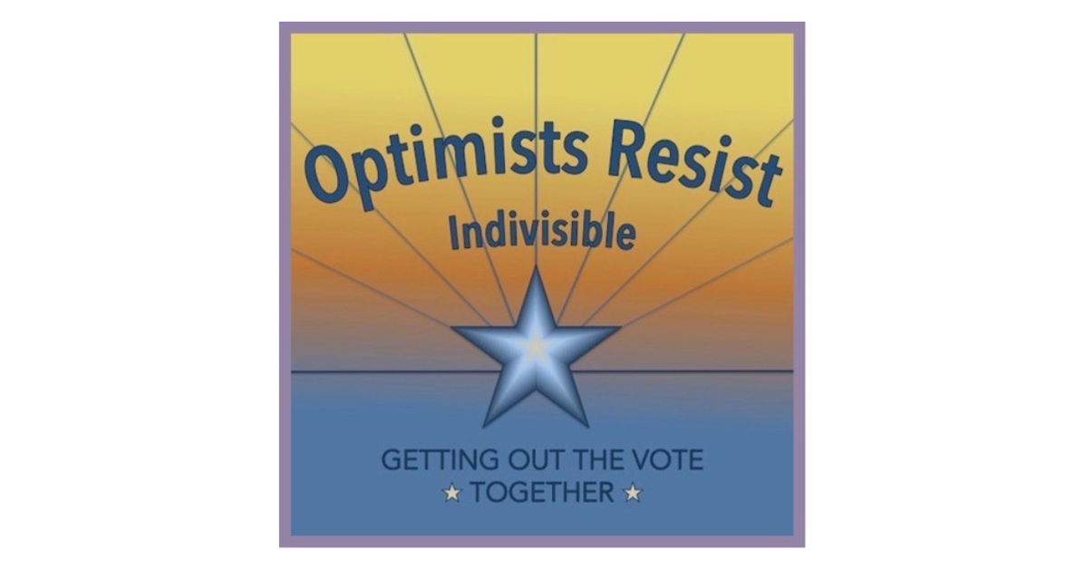 LD11 Democratic Voter Guide Lit Drop · Mobilize