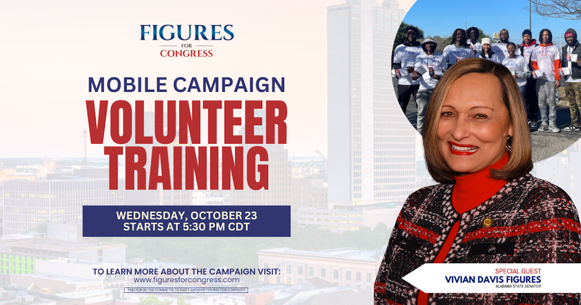 Mobile In Person Volunteer Meeting · Mobilize