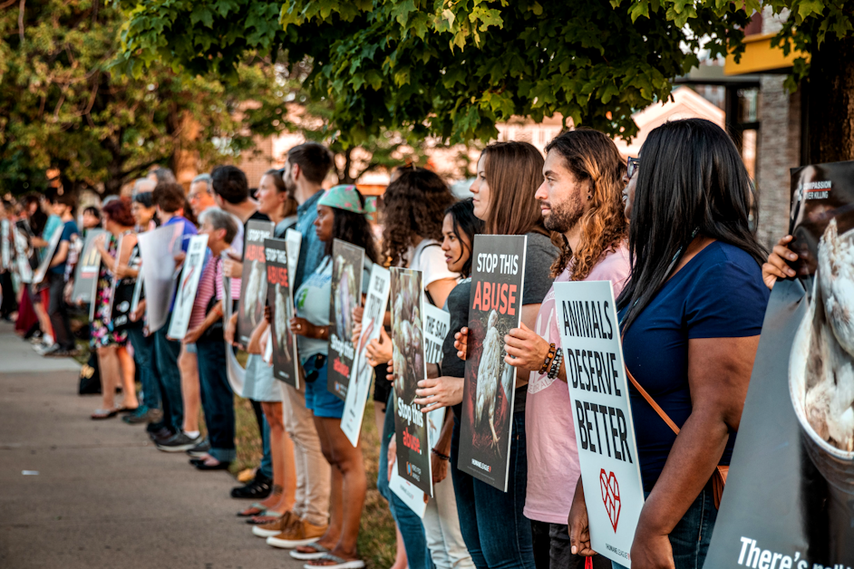 Getting Started with The Humane League · The Humane League