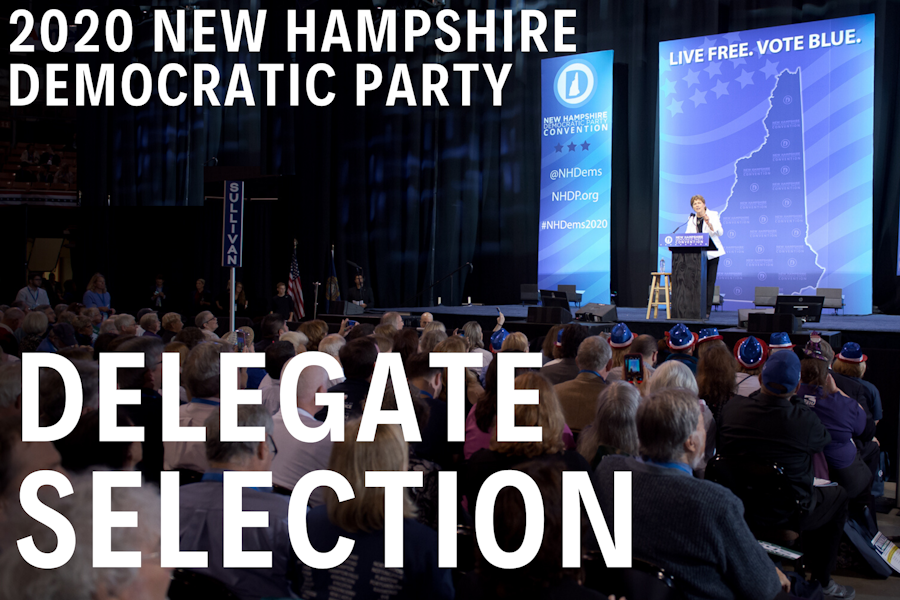 Remote Delegate Selection Meeting for the Democratic National ...