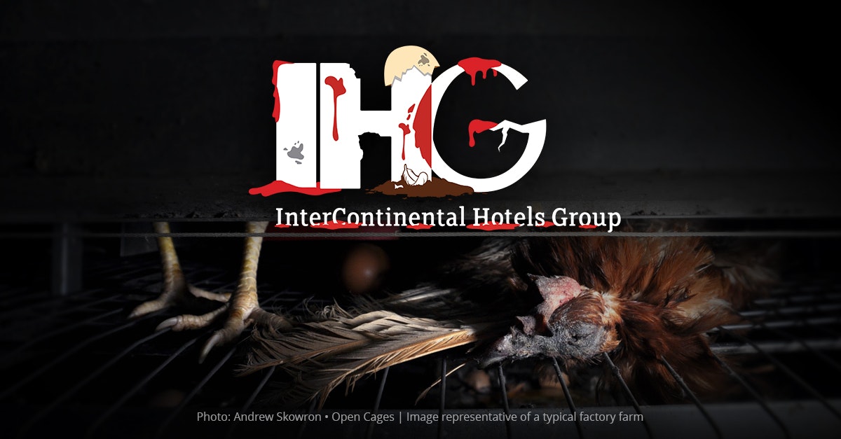 Asheville, NC: Protest IHG Hotels! · The Humane League
