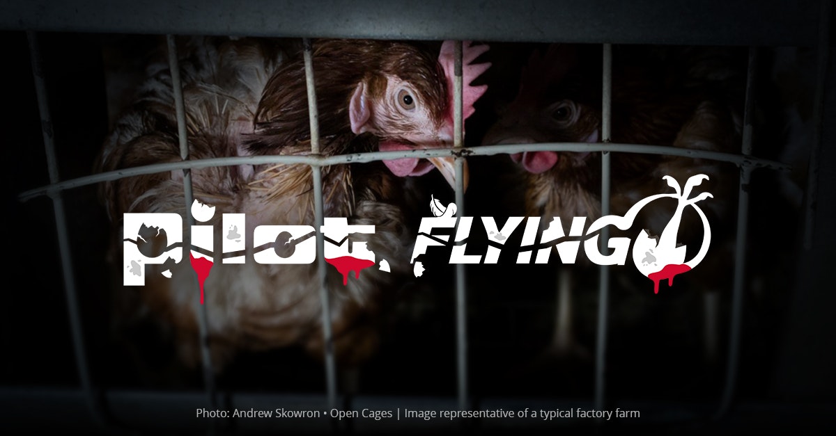 Mebane, NC: Protest Pilot Flying J! · The Humane League