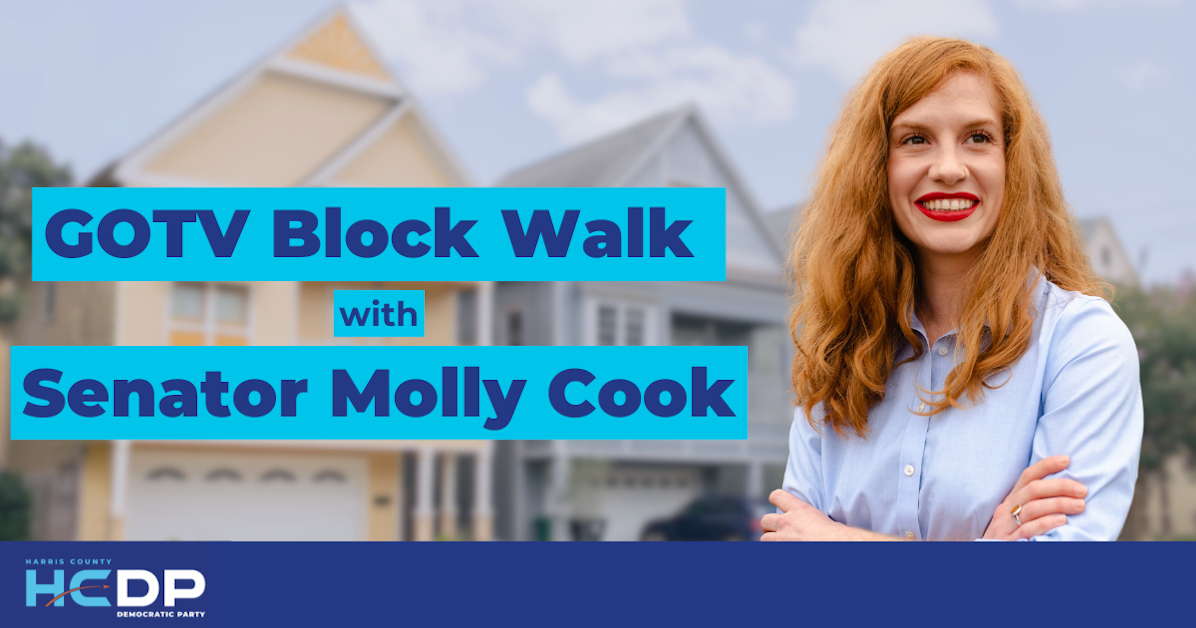 Early Vote Blockwalk with Molly Cook · Mobilize