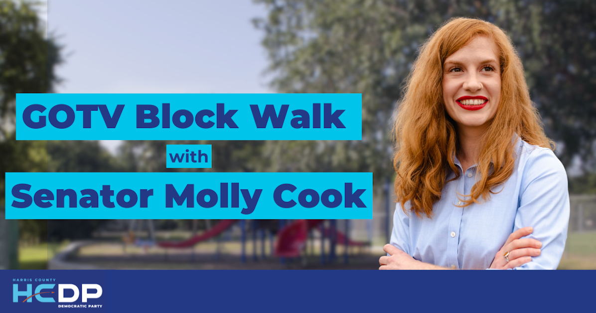 Final Weekend GOTV Blockwalk with Molly Cook · Harris County Democratic ...