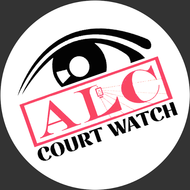 Court Watch Orientation · Mobilize