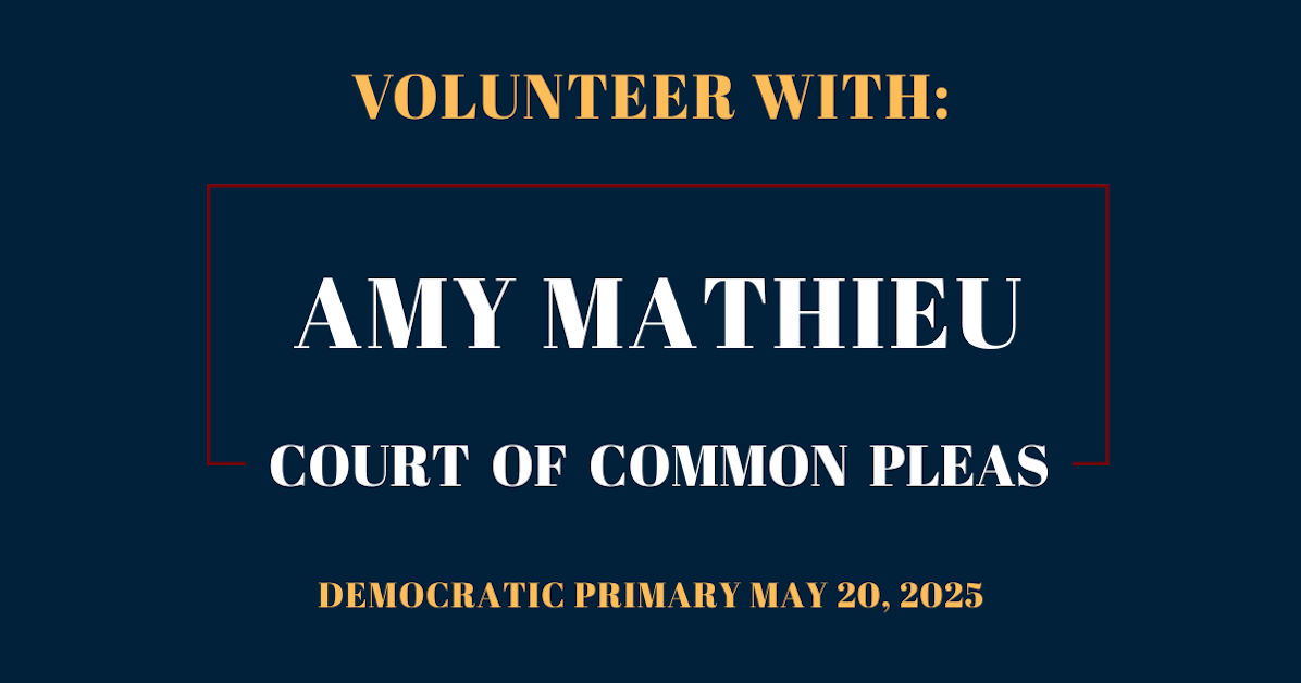 Knock on Doors for Amy Mathieu! · Mobilize