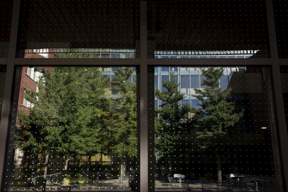 Mitigating Window-Bird Strikes with Hannah Partridge, PhD · Audubon ...