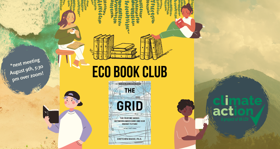 Eco Book Club Finishes The Grid: The Fraying Wires Between Americans ...