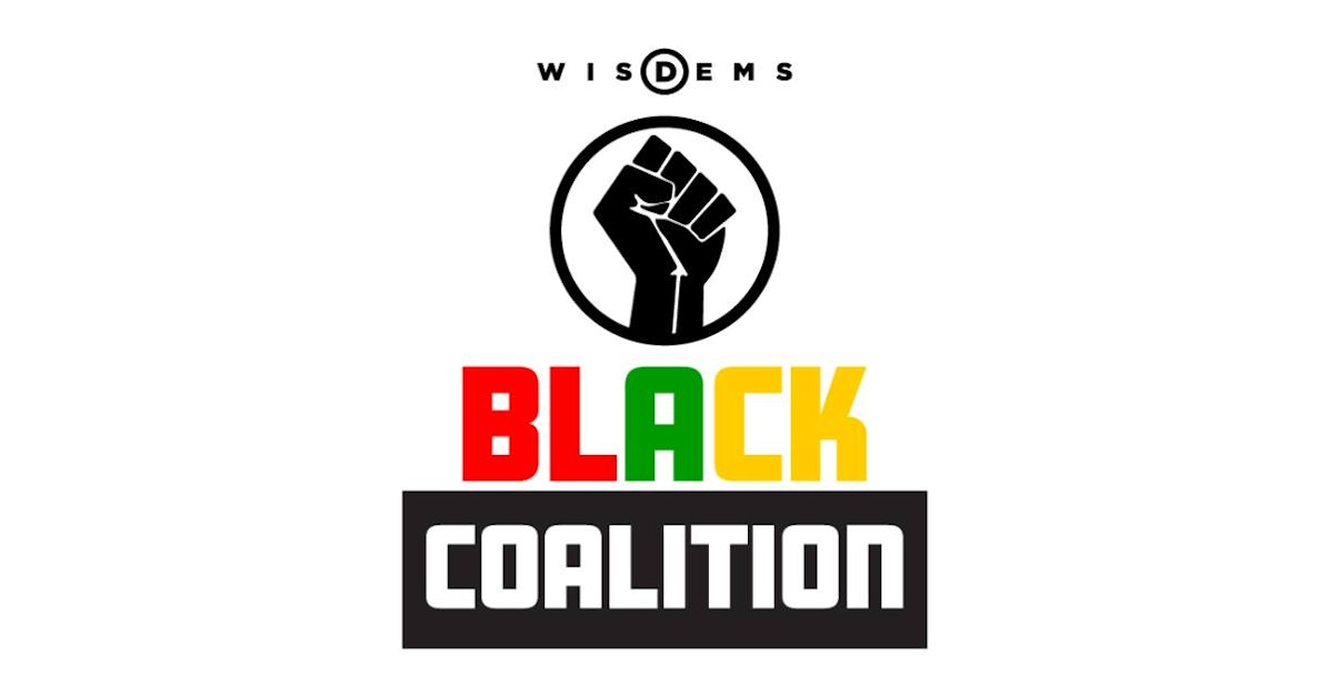 Tabling at Madison Juneteenth Celebration · Mobilize