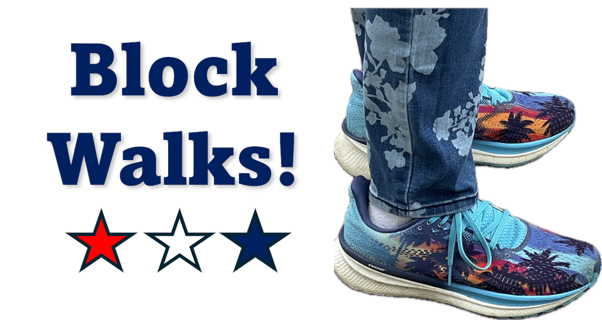 Galveston Island Democrats East End Block Walk · Galveston County ...