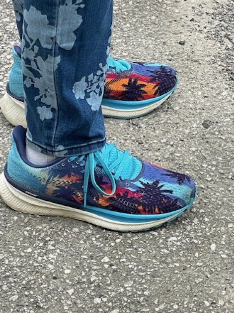 Galveston Island Democrats Block Walking · Mobilize