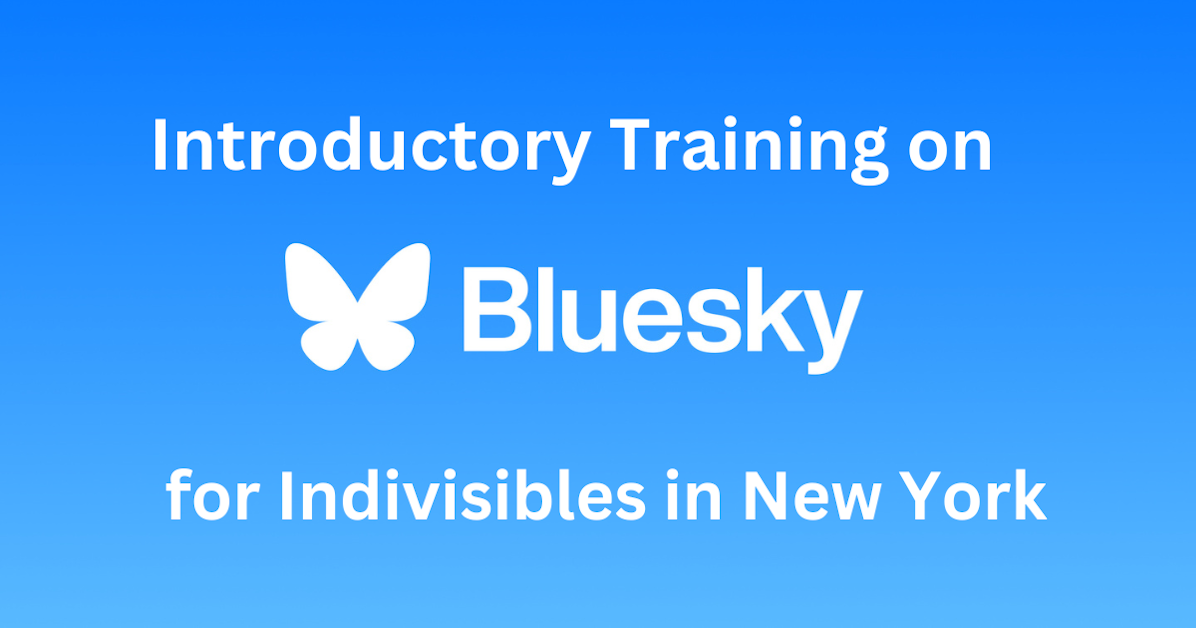 Blue Sky Training for Indivisibles in NY · Indivisible OneNYS