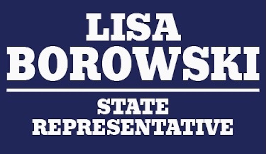 Re-elect Lisa Borowski State Representative for 168th District · Mobilize