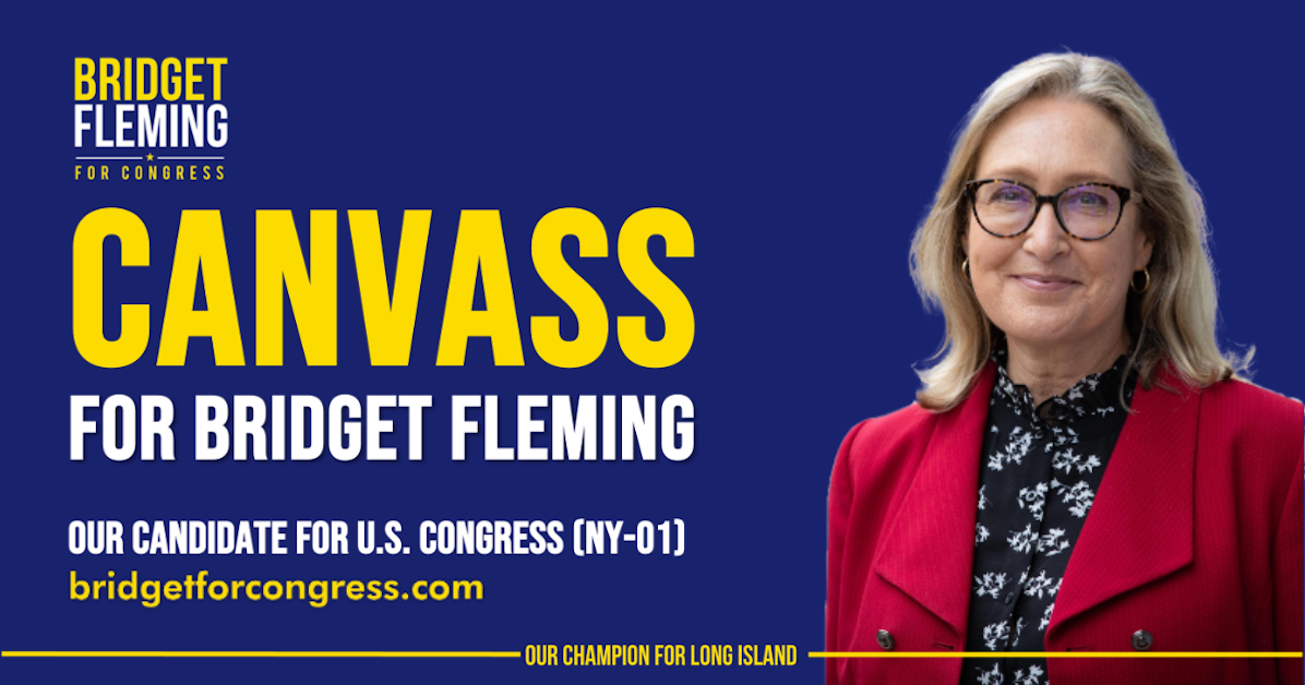 Melville Canvass for Bridget Fleming · Mobilize