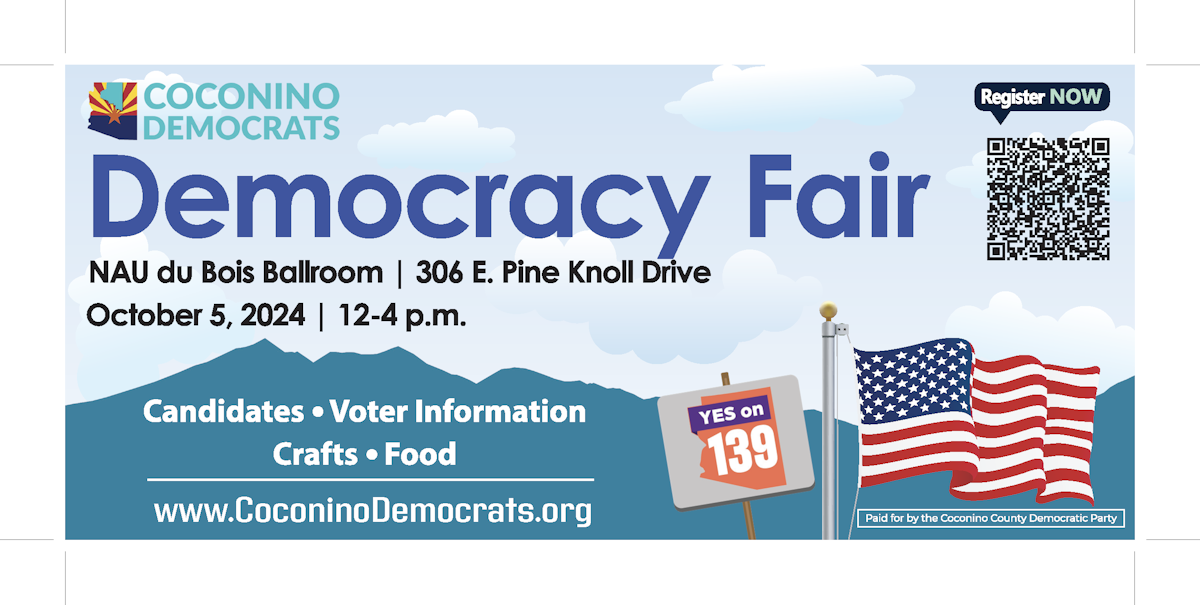 Democracy Fair · Mobilize