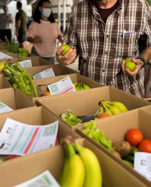 Mobile Pantry Produce Box Pre-Pack · FOOD For Lane County