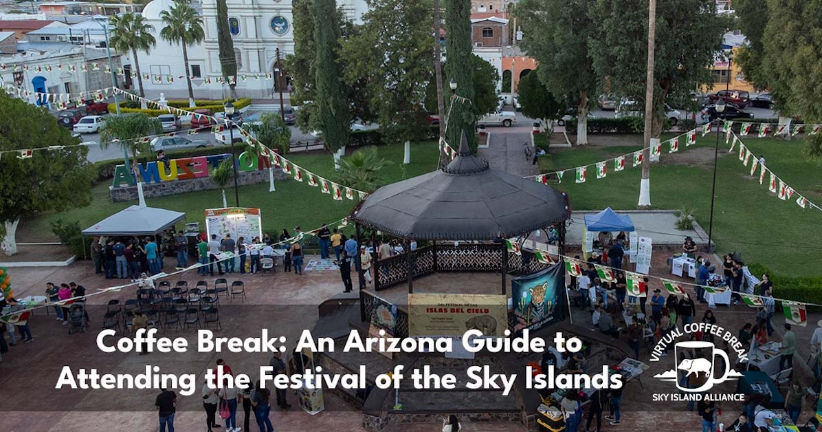 Coffee Break: An Arizona Guide to Attending the Festival of the Sky ...