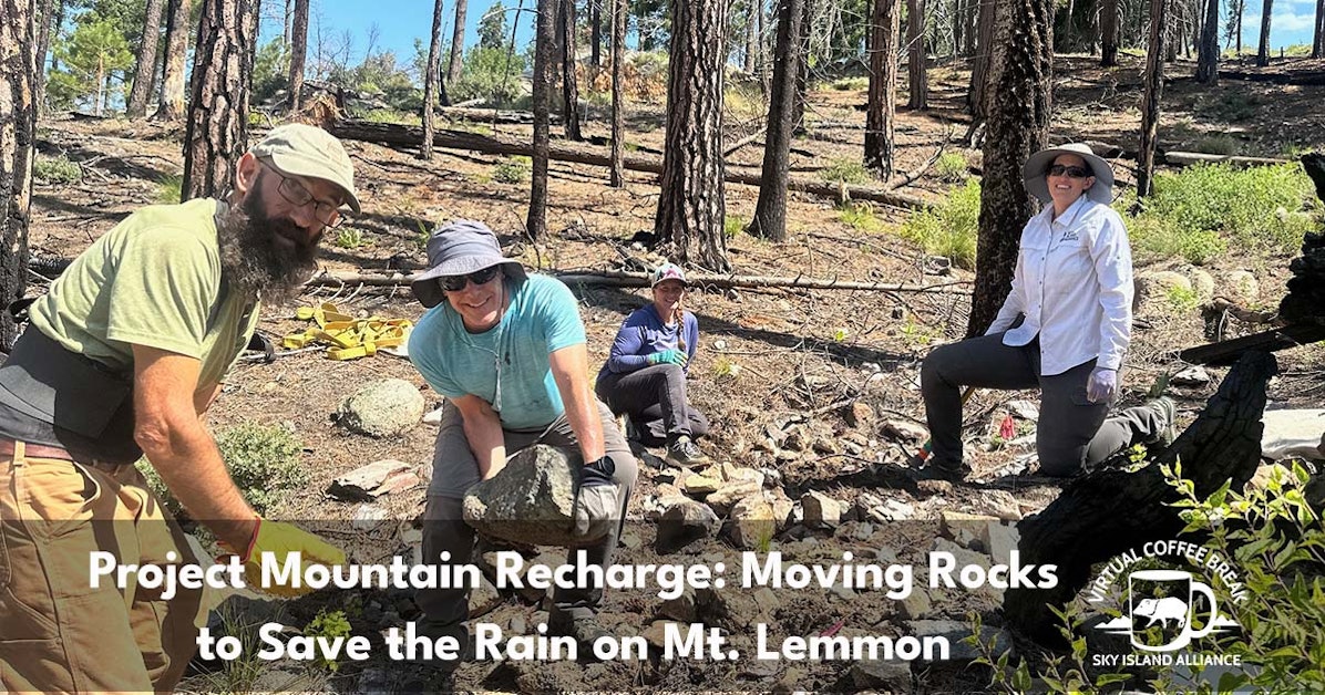 Project Mountain Recharge: Moving Rocks to Save the Rain on Mt. Lemmon ...