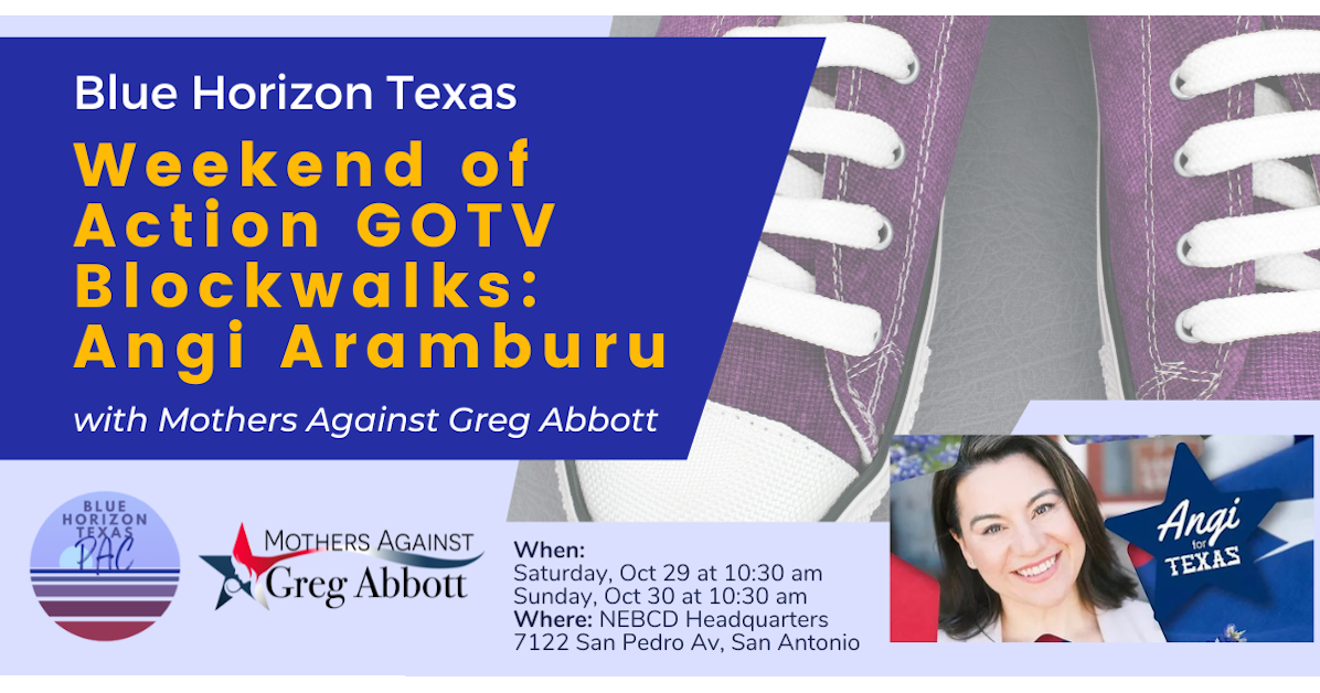 Blue Horizon Weekend of Action! - Angi Aramburu for Texas House ...