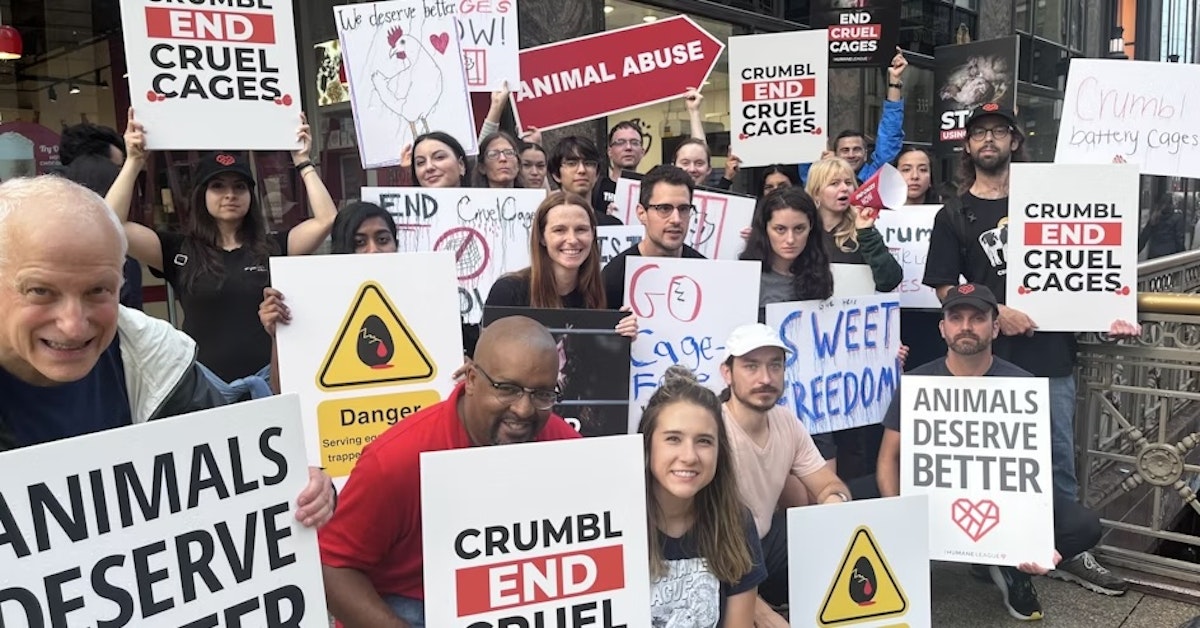 Merrick, Long Island: Protest to End Cages at Crumbl · The Humane League
