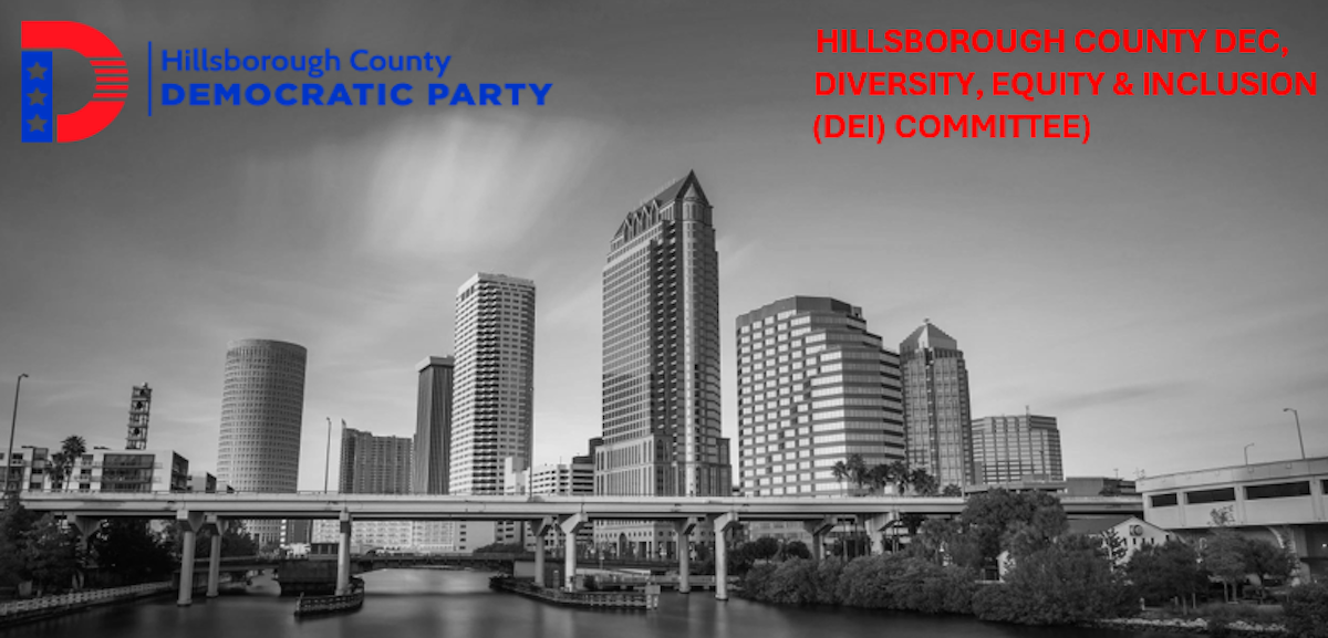 DEI Committee Interest Mixer Q&A, Thu Mar 13, 7:00pm · Hillsborough ...