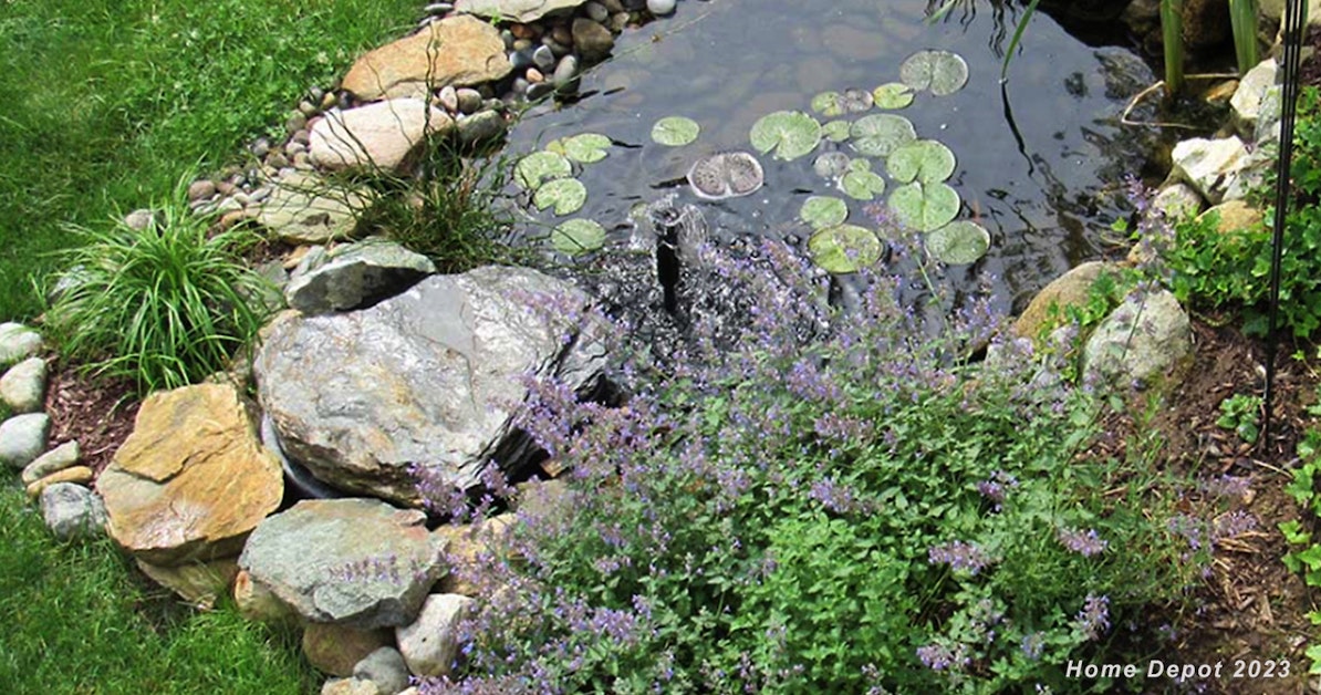 Litchfield Hills Audubon Society: Build a DIY Mini Bog in Your Front ...