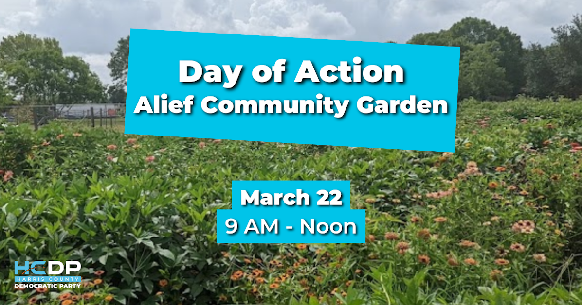 Day of Action · Mobilize