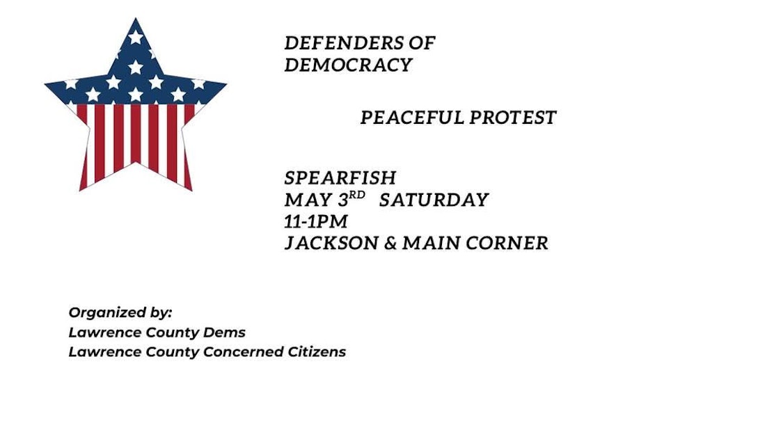 Defenders of Democracy Peaceful Protest · Mobilize