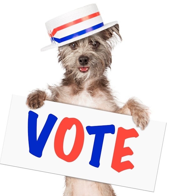 Okaloosa Democrats at Dog Daze · Mobilize