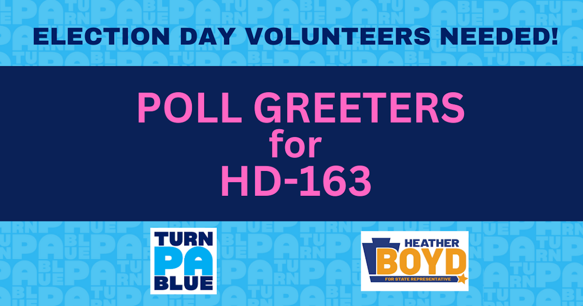 Poll Greeters Needed in HD163 for Election Day for Special Election ...
