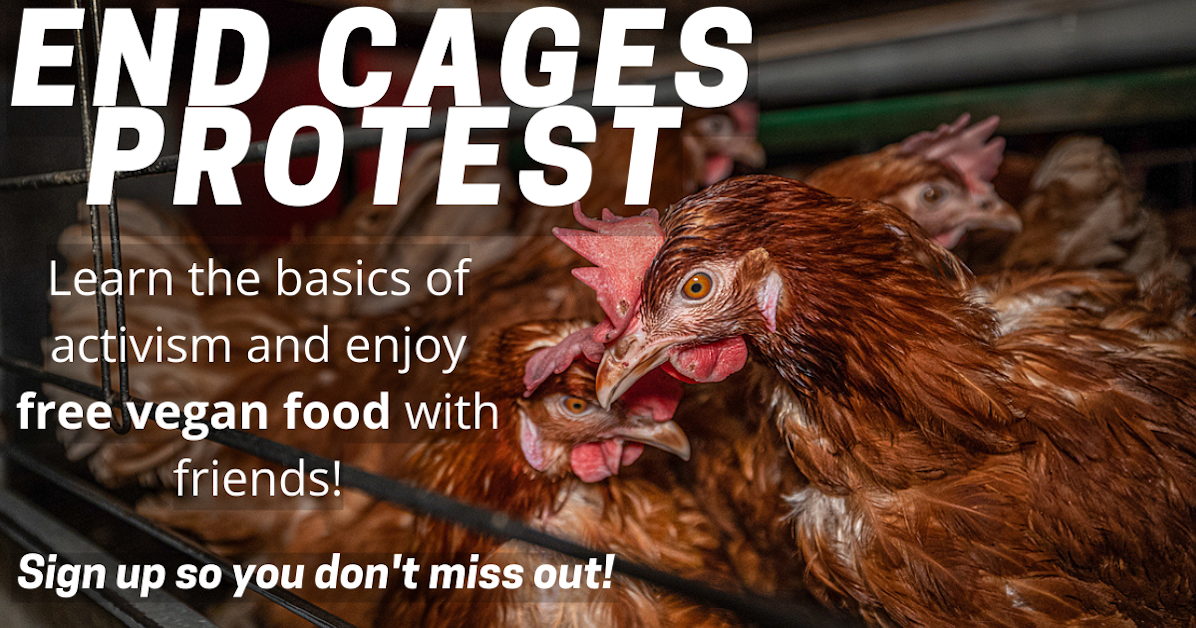Protest to End Cages & Free Vegan Food! Princeton, NJ · The Humane League
