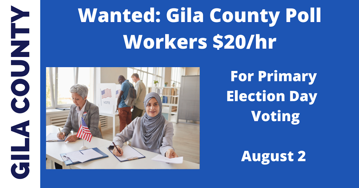 Gila Dems Primary Election Day Poll Workers · Tamie Wilson for US Congress