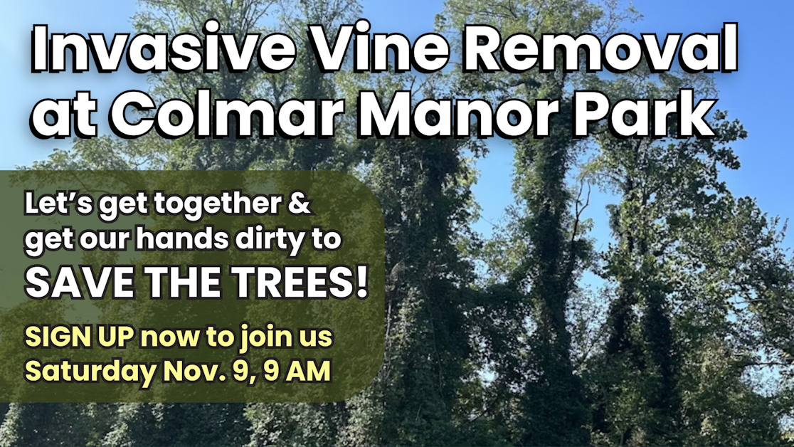Invasive Vine Removal at Colmar Manor Park · Chesapeake Climate Action ...