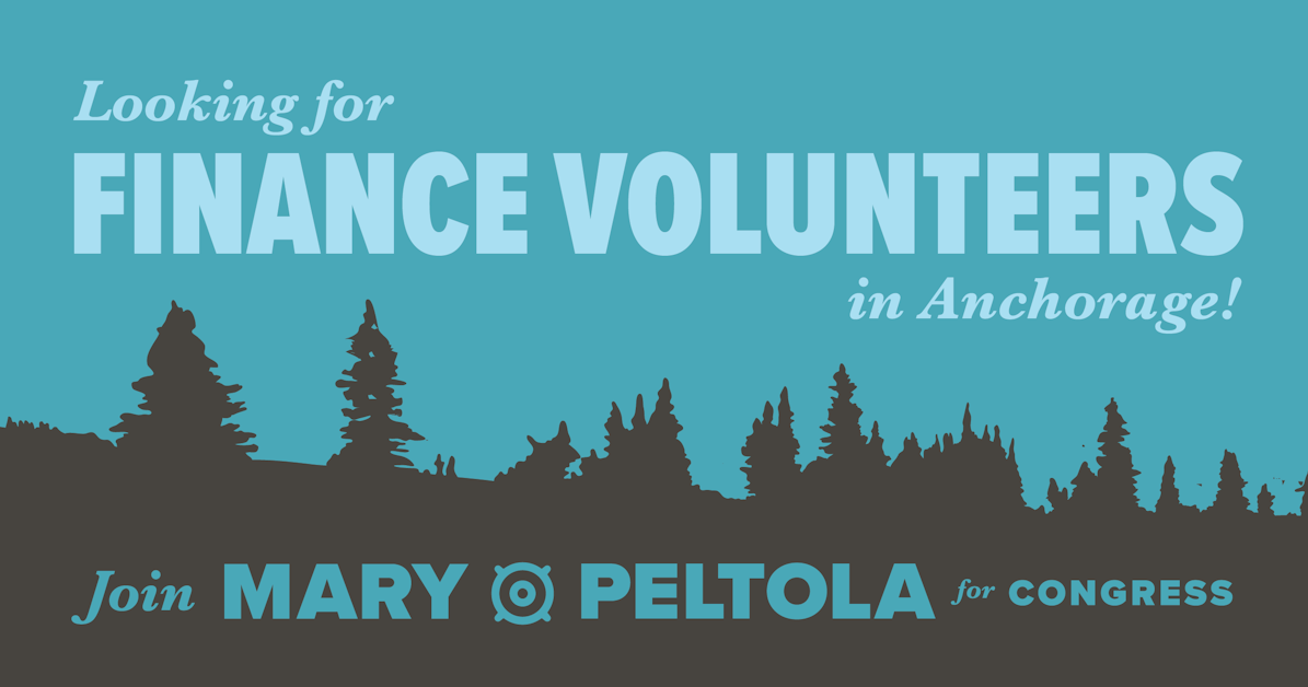 Finance Volunteer · Mobilize