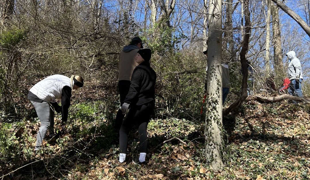 Invasive Plant Removal at Hominy Creek Greenway in Asheville, NC 4/5 ...