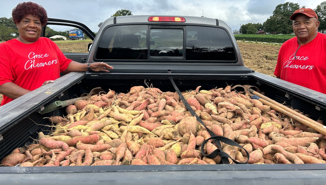 Sweet potato gleaning-Friday! · Society of St. Andrew
