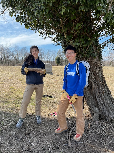 Invasive Vine Removal at Woodlawn Cemetery · Mobilize