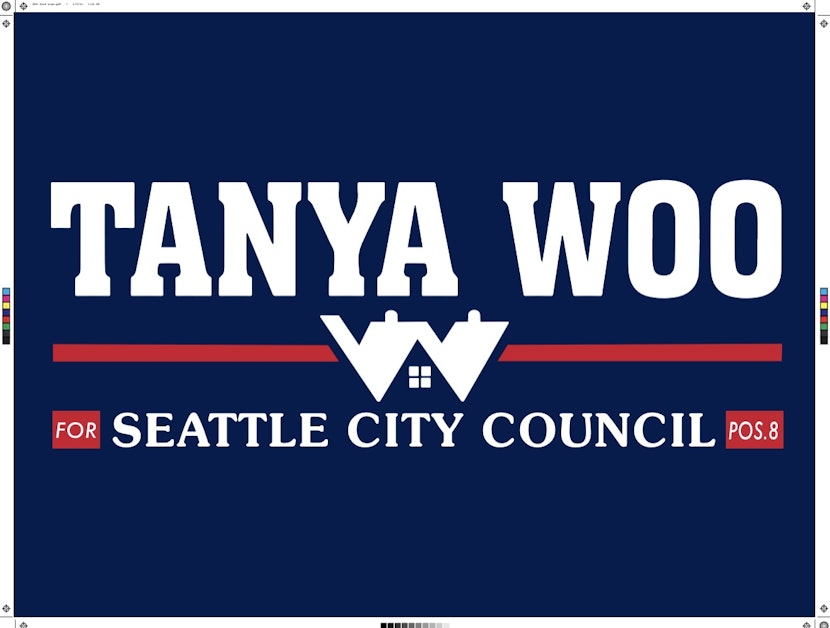 Canvas with Team Woo in North Seattle! Day 1! · Mobilize
