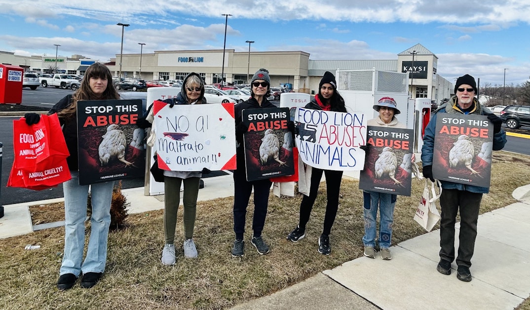 Perry Hall, MD: Protest Animal Abuse at Food Lion · The Humane League