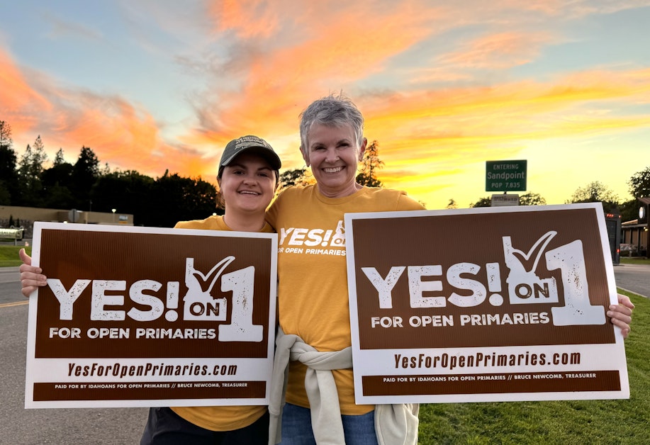 Wave signs for Open Primaries! (Wed evenings) · Mobilize