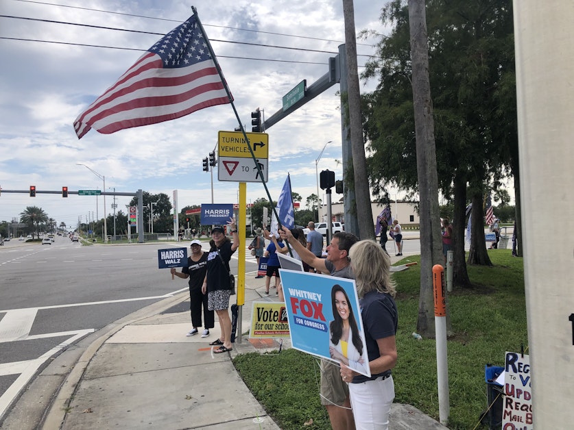 Inspire Democrats to VOTE! Mid County Sign Waving · Mobilize