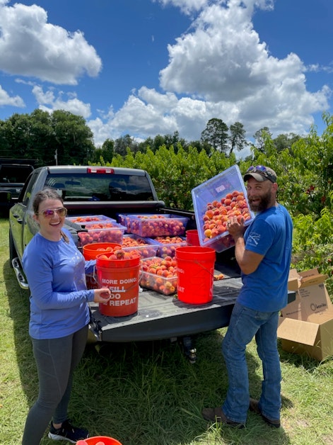 Join Us for a SoSA Gleaning Event with Orange County Gov! 🌾 · Society ...