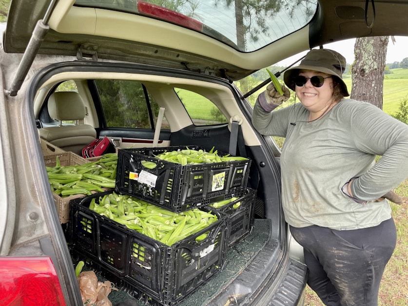 Weekly Okra Gleaning in Jemison/Clanton · Society of St. Andrew