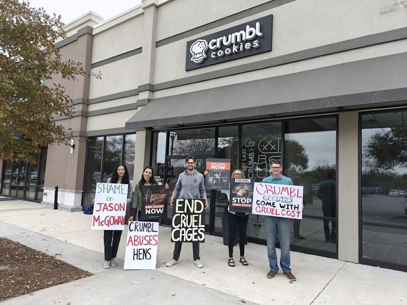 Protest for Animals in Charleston! · The Humane League