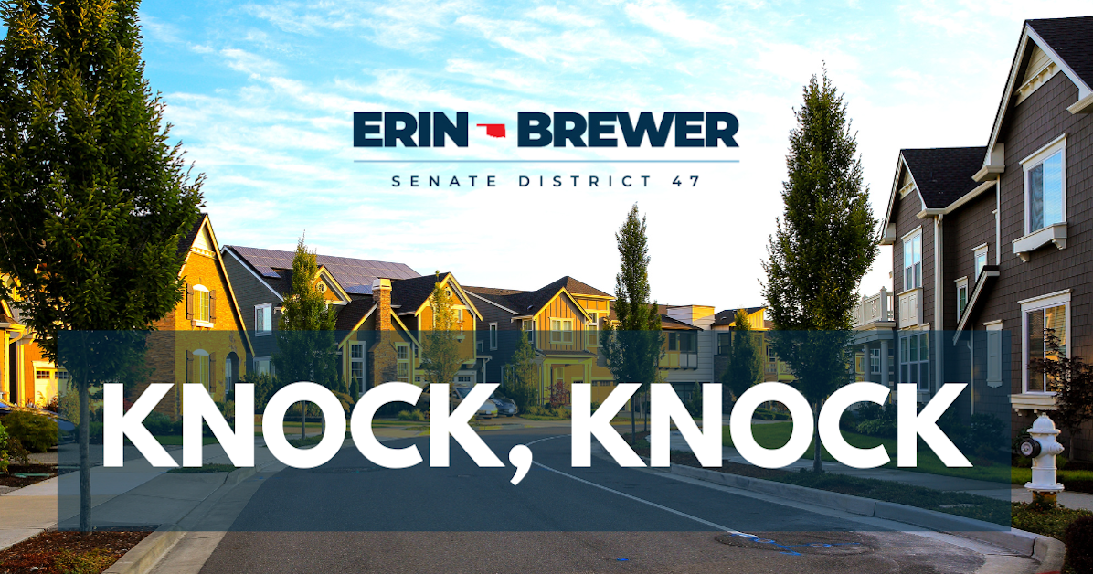 Knock Doors with Erin Brewer · Mobilize