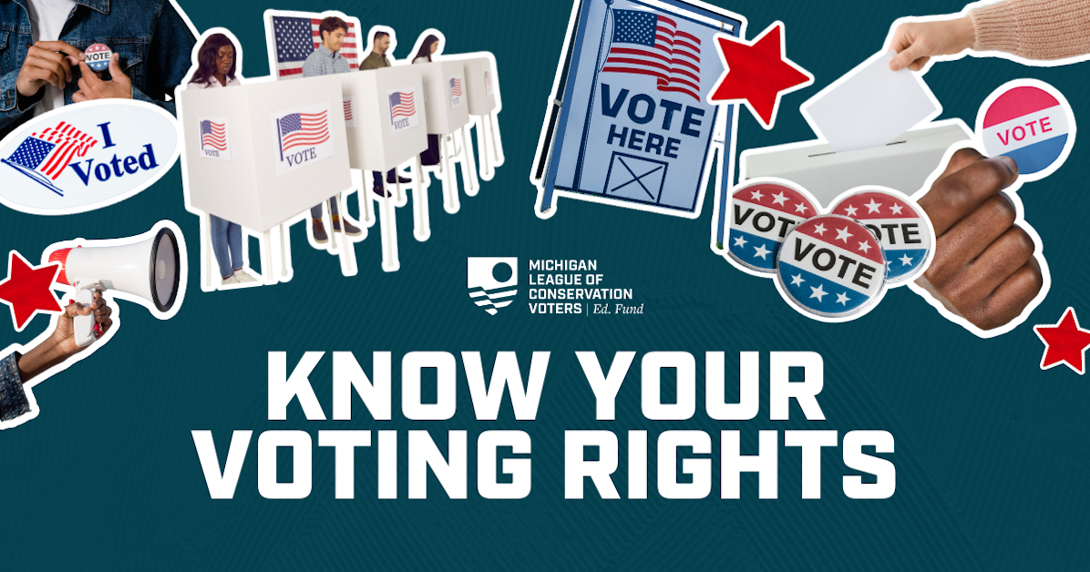 Know Your Voting Rights With 313 Votes! · Mobilize