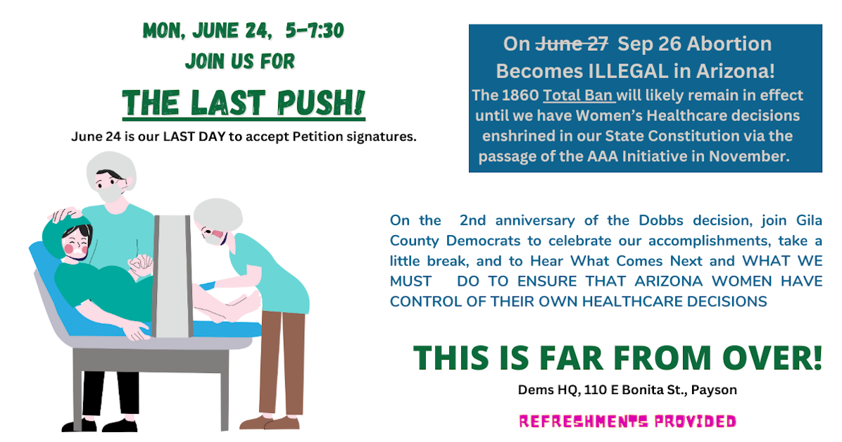 Gila Dems The Last Push · Project 15/30