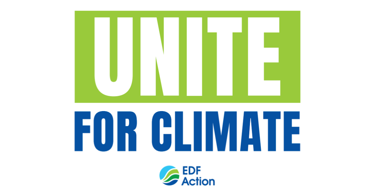 Virtual Webinar: The Year Ahead · EDF Action