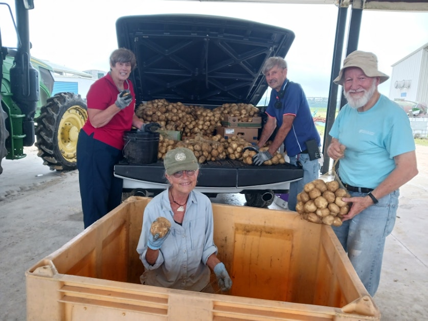 Potato Packing - Hastings · Society of St. Andrew